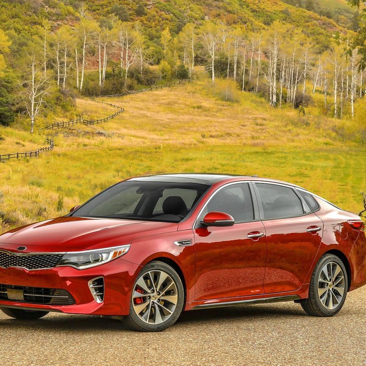 Replacement REAR DOOR, LH, 2016-2019 Kia Optima'16/K5, (Steel) – Topnault Classic Car Parts